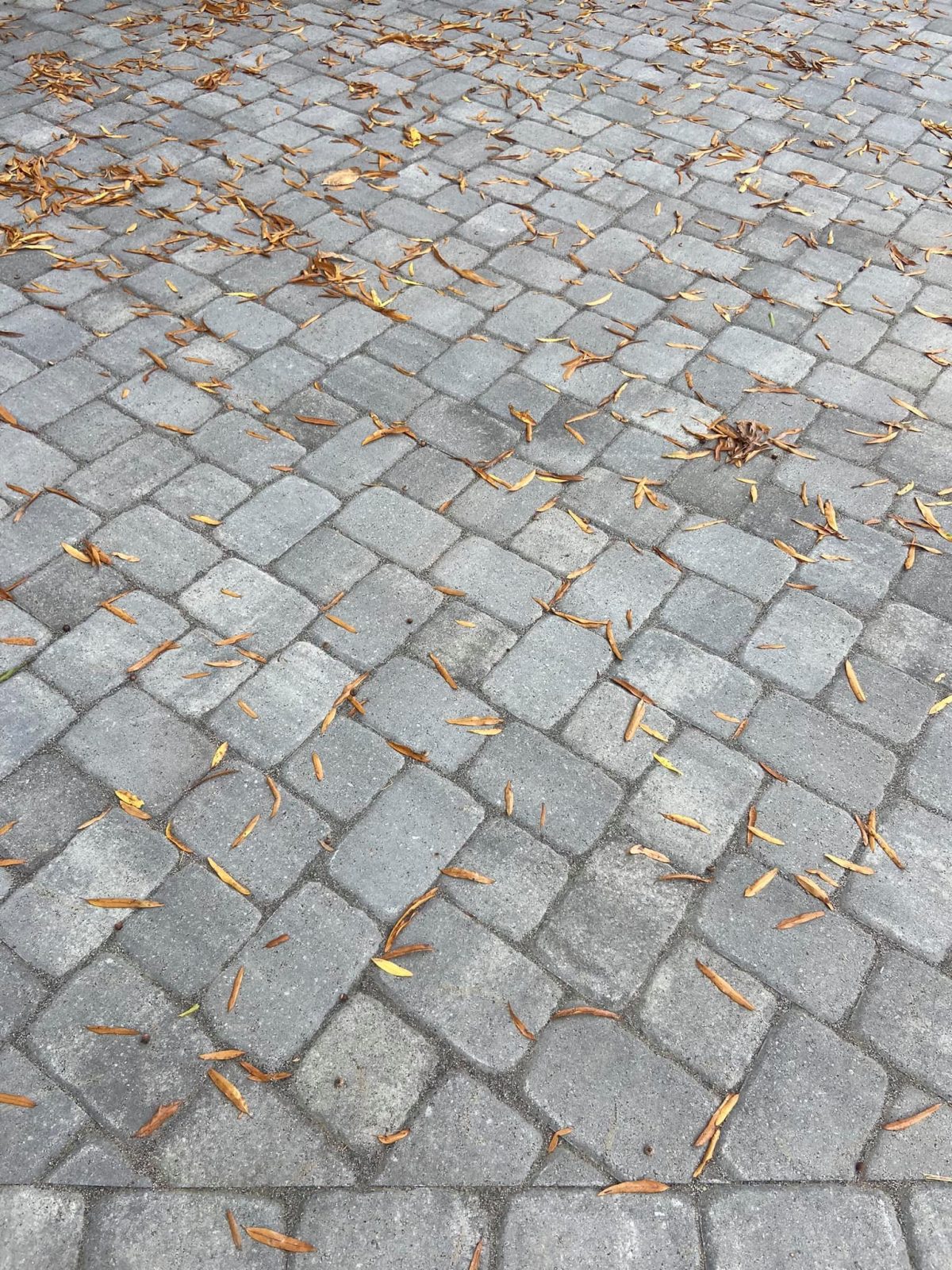 Belgard Cobble Blend Cambridge Cobble Paver Archives - Mr. Outdoor Living