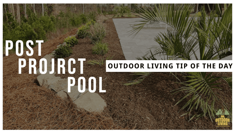 Palm Tree Archives - Mr. Outdoor Living